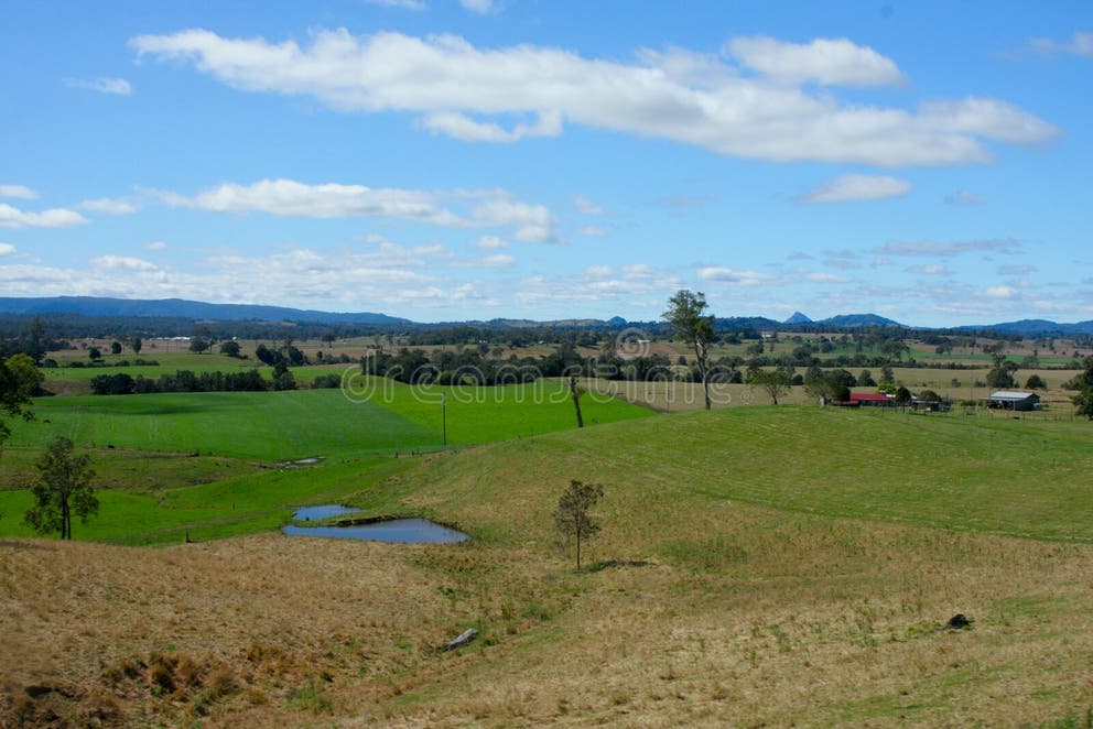 Farm dam stock image. Image of trees, grass, blue, green - 6321003