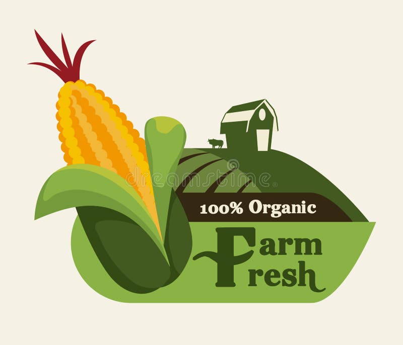 Farm design stock vector. Illustration of organic, product - 41949137