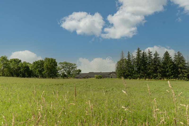 Farm on the Edge of a Green Field Stock Photo - Image of environment ...