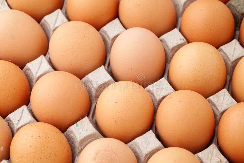 Farm Egg in Paper Container Stock Image - Image of breakfast, packing ...