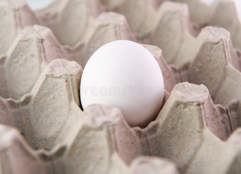 Farm Egg in Paper Container. Isolated on White Background Stock Photo ...