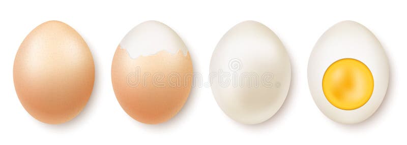 Farm Egg Realistic Set stock vector. Illustration of fresh - 279108082