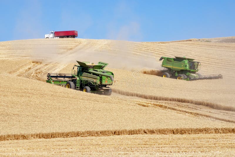 Farm Equipment Works on Harvesting Wheat Editorial Image - Image of ...
