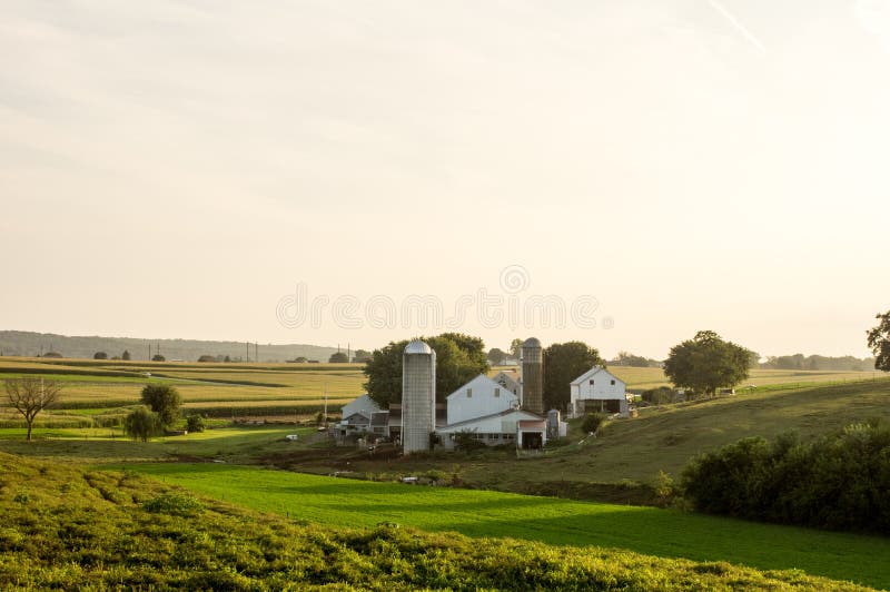 Farm in the Evening Light stock photo. Image of nature - 99436366