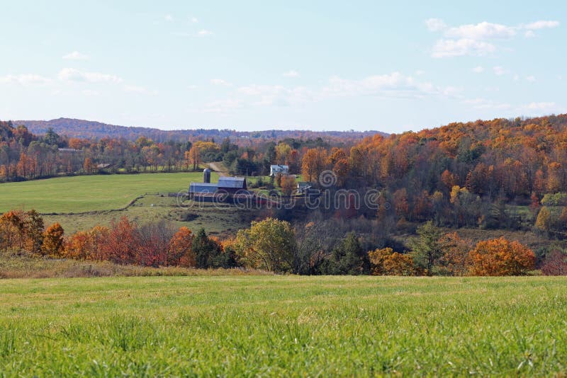 Farm and fall colors stock photo. Image of farm, grass - 214682366