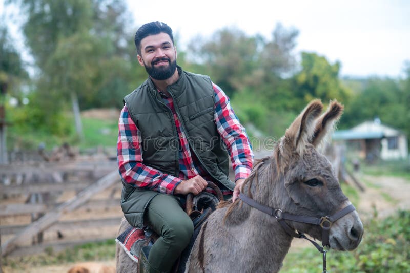 A Farmer Sitting on a Donkey on a Farm Stock Photo - Image of young ...