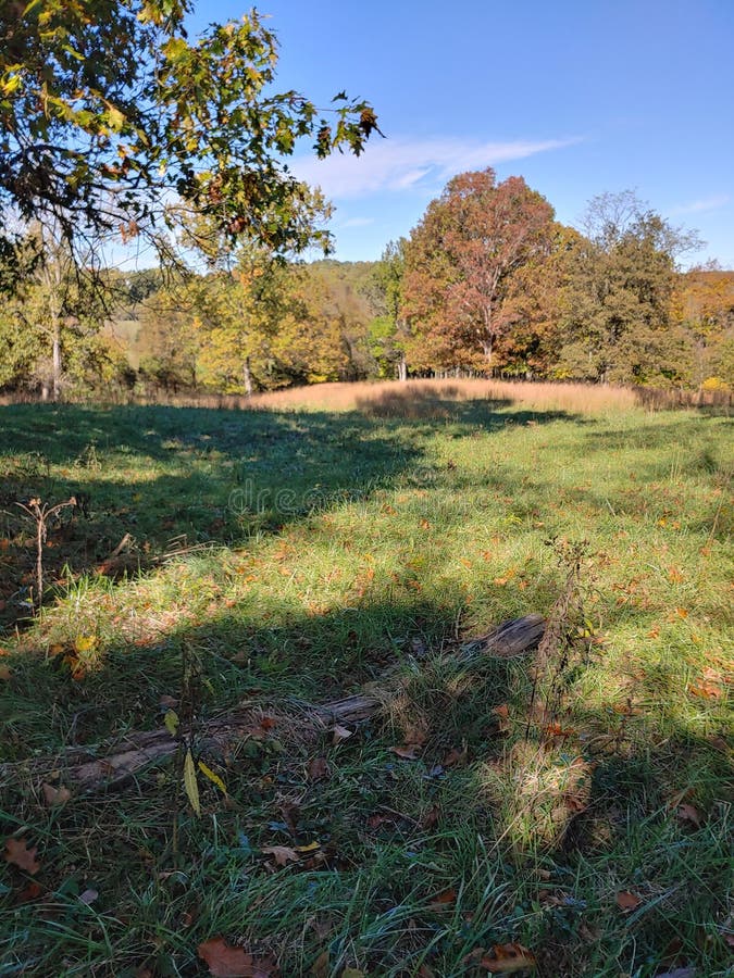 Farm Feild Fall stock photo. Image of vegetation, woodland - 235701172