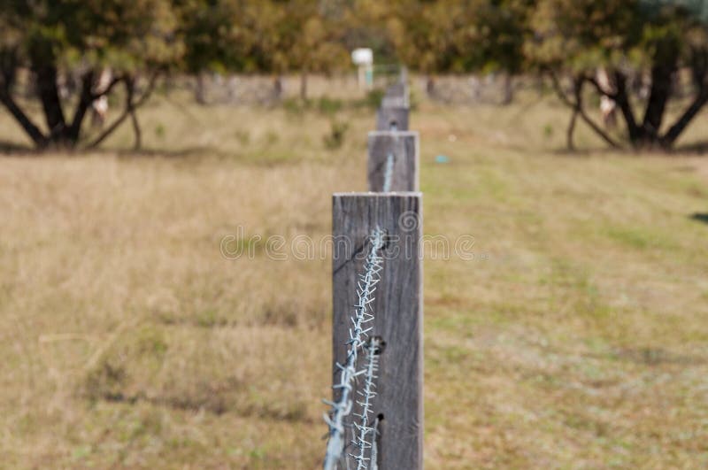 Farm Fence with Barbed Wire. Property Border Stock Photo - Image of ...