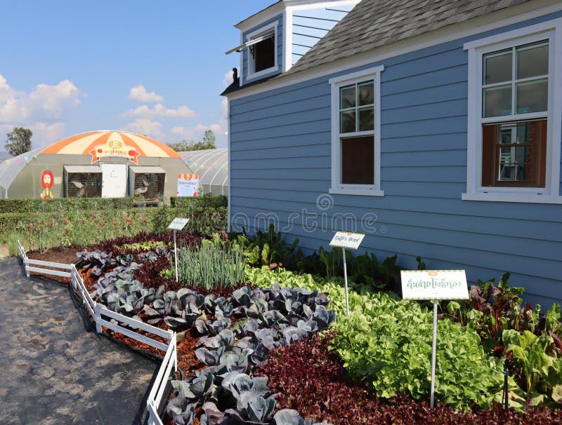 Small farm stock photo. Image of farm, small, house - 134922376