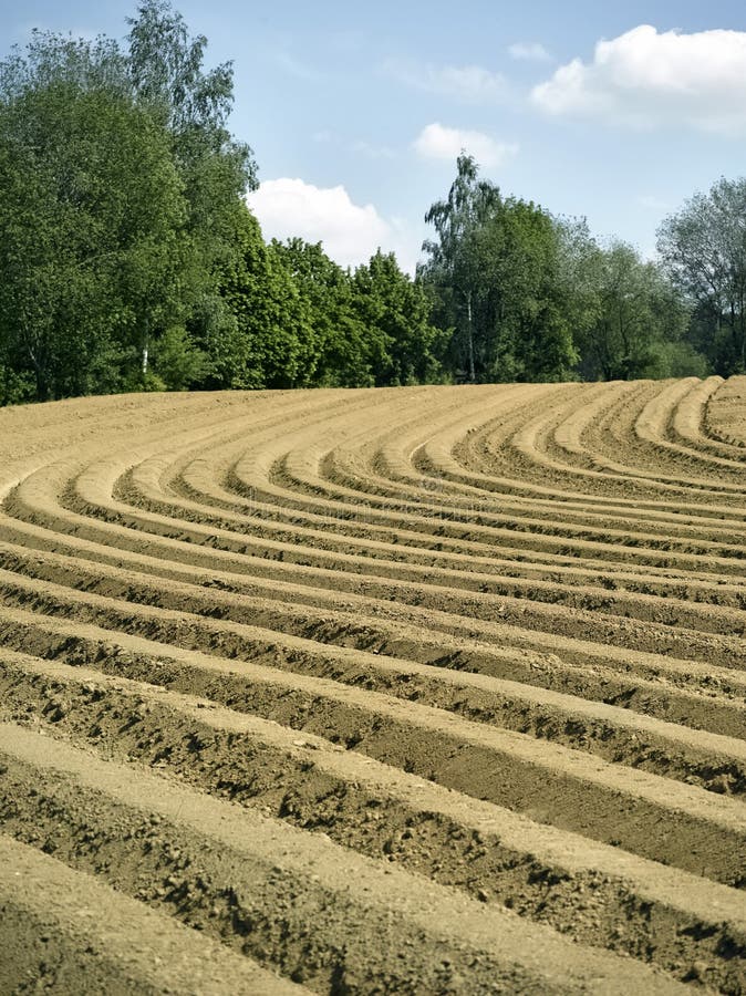 Farm field stock image. Image of dusty, landscape, farmland - 19438311