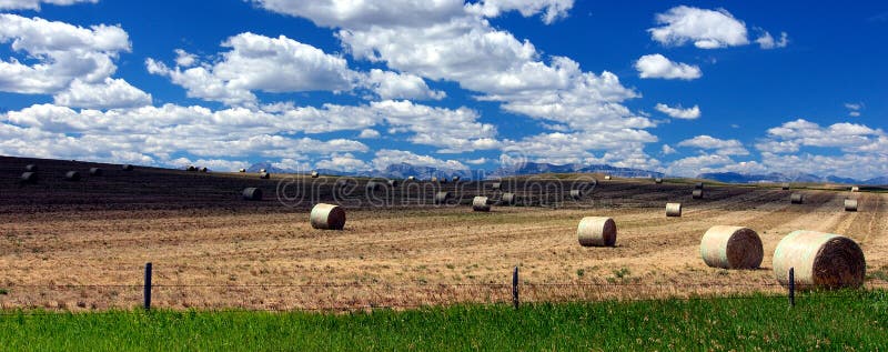 Farm Field stock photo. Image of mountain, vast, field - 965886