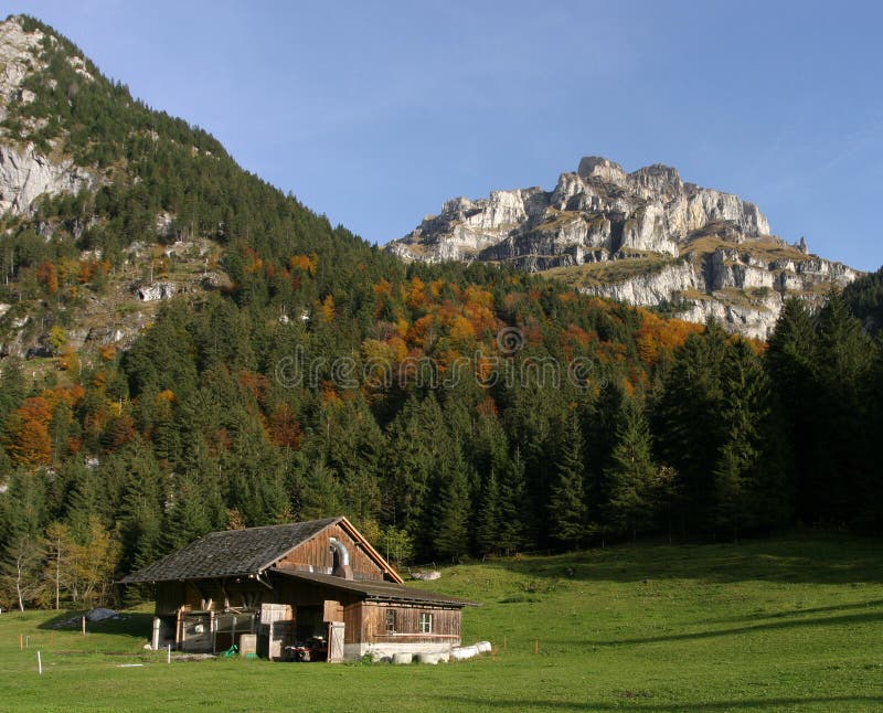 Farm Field in the Alps stock image. Image of farmland - 3625777