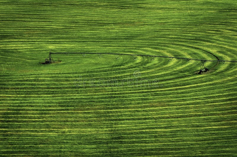 Farm Field with Circle Pivot Irrigation Sprinkler Stock Photo - Image ...