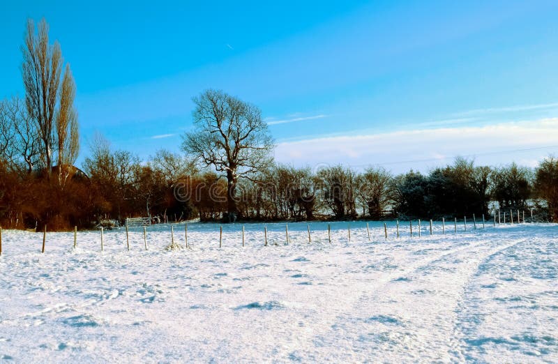 Farm Field Covered In Snow Picture. Image: 98536932