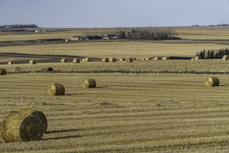 A Farm Field in Fall with Bales of Hay after the Harvest Stock Photo ...