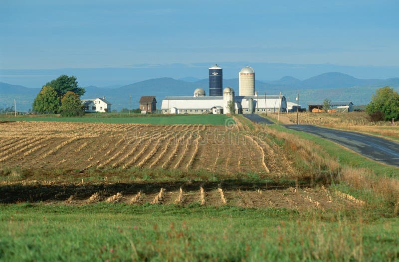 Farm Buildings and Field in Winter Stock Image - Image of houses, farm ...