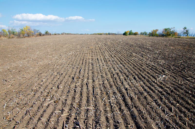 Farm field after harvest stock image. Image of harvest - 122211621