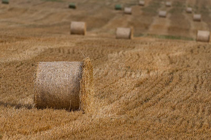 Farm Field Haystack Agriculture Landscape. Haystack Harvest Landscape ...