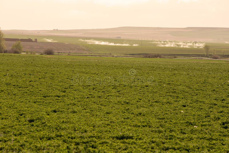 Farm field stock photo. Image of cloud, dusk, rural, farm - 54087690