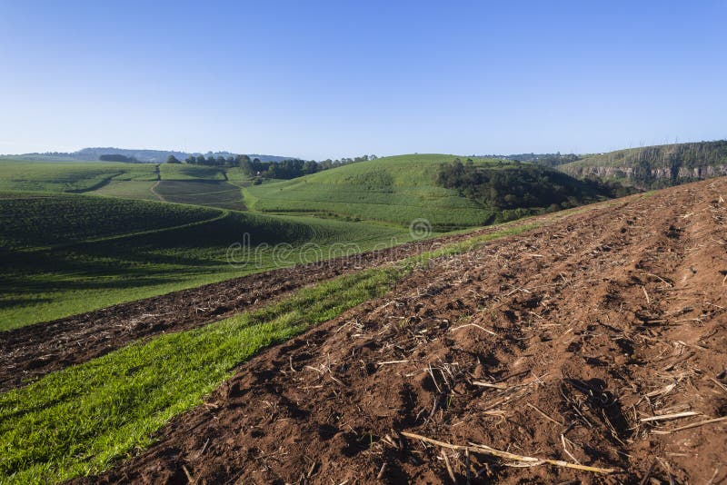 Farm Field Landscape stock photo. Image of nature, blue - 64907736