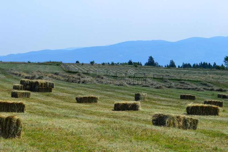 Farm field landscape stock photo. Image of beautiful - 56862648