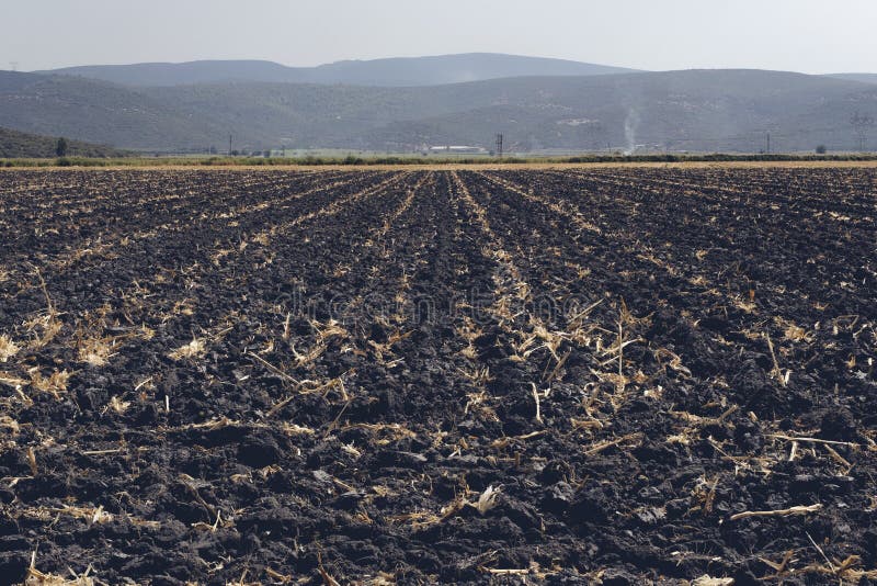 Farm Field Lines of Arable Land Stock Photo - Image of farming ...