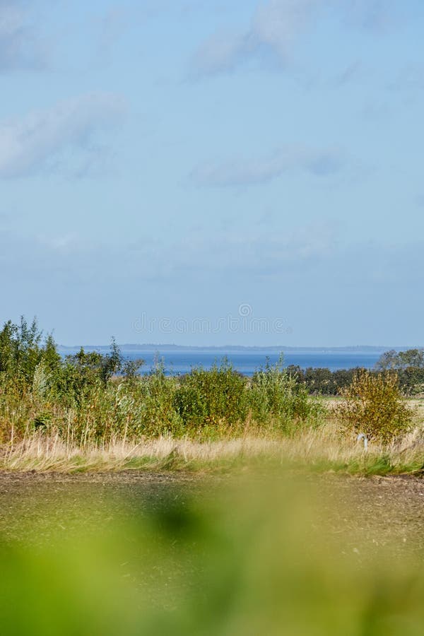 Farm Field with a Nice View of the Ocean Stock Photo - Image of meadow ...