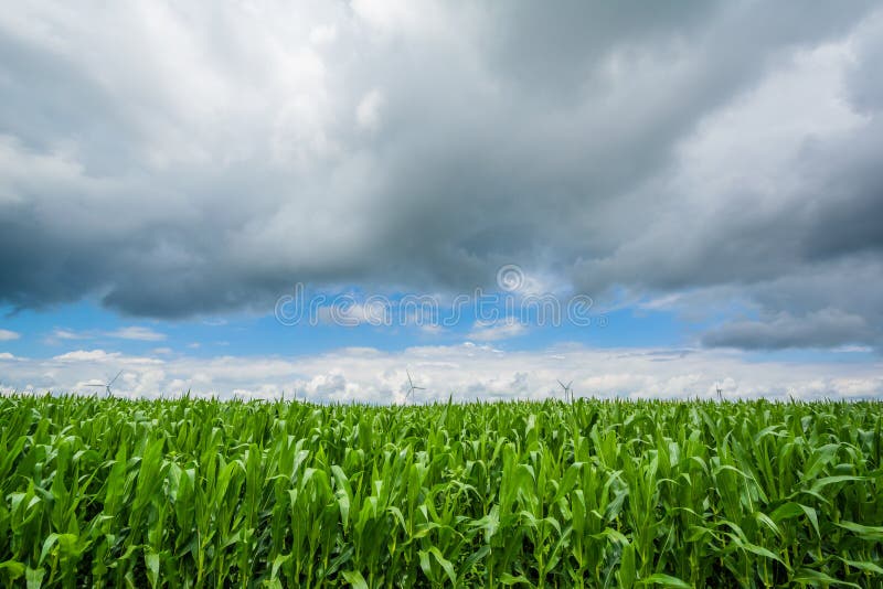 A Farm Field in Rural Indiana Stock Image - Image of colorful, indiana ...