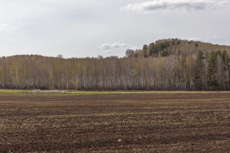 Field is Ready Sowing. Spring, Russia. Cloudy Sky Stock Photo - Image ...