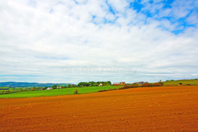 Farm field in Scotland stock image. Image of farm, rural - 15097347