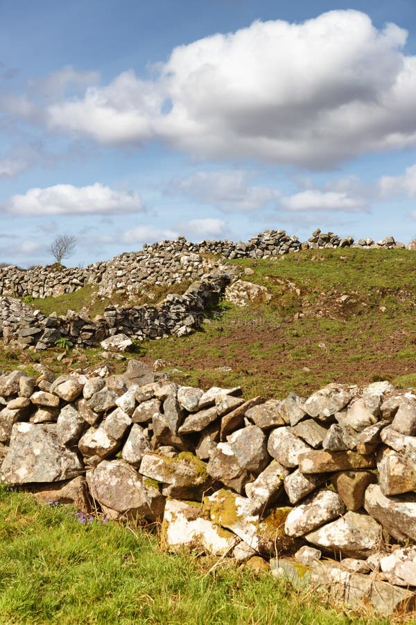 Farm Field with Typical Stone Wall Around Stock Photo - Image of rock ...