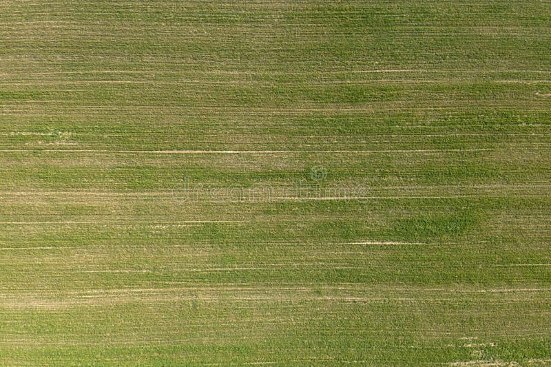 Farm Field, View from Above Stock Image - Image of countryside, green ...