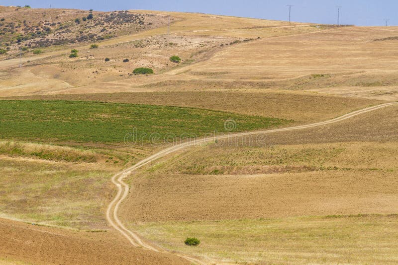 Farm stock image. Image of clean, green, argile, herb - 93467939