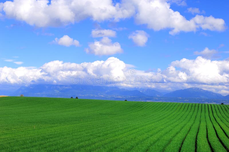 Farm fields stock image. Image of season, farmer, agriculture - 4848703