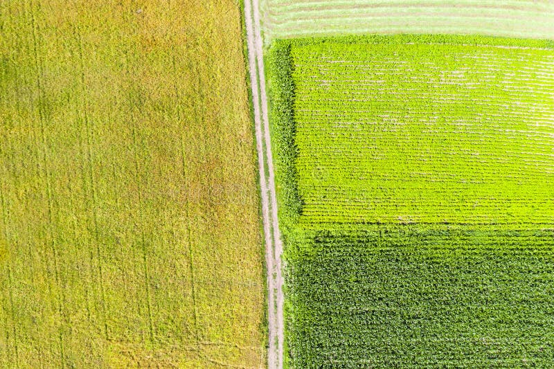 Farm fields from above stock image. Image of agricultural - 189552625