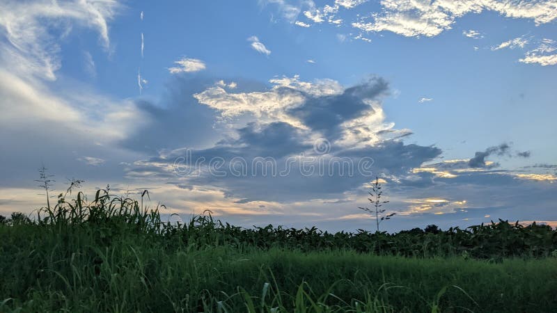 Farm Fields and Clouds stock image. Image of prairie - 255513983