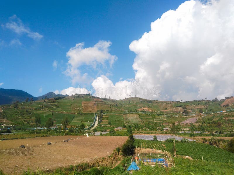 Farm Fields in Dieng Plateau, Central Java, Indonesia. Stock Image ...