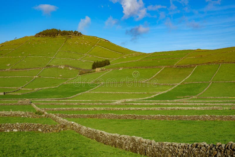 Farm Fields Hill in the Terceira Island in Azores Stock Photo - Image ...