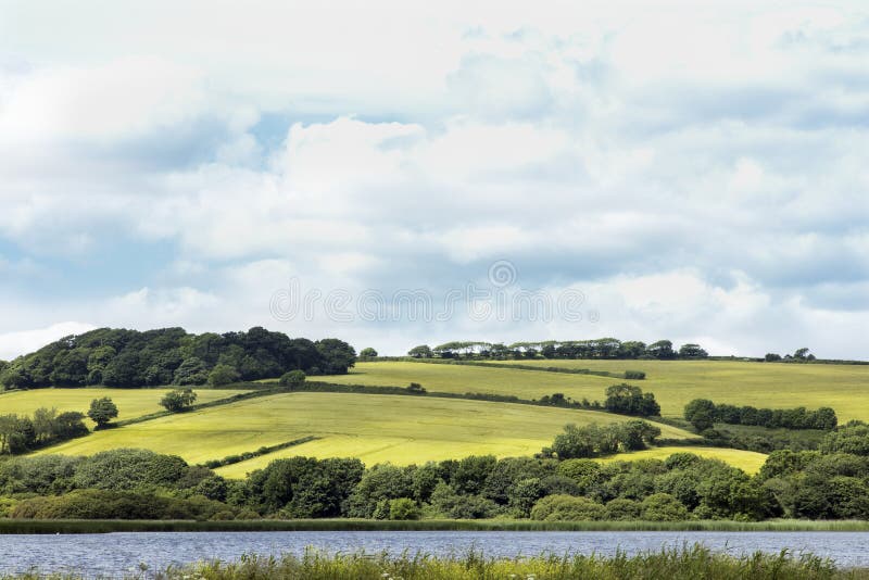 Farm fields and lake stock image. Image of country, agriculture - 74971485