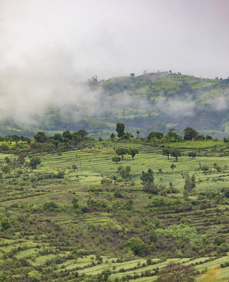 2,507 Ethiopia Farm Stock Photos - Free & Royalty-Free Stock Photos ...
