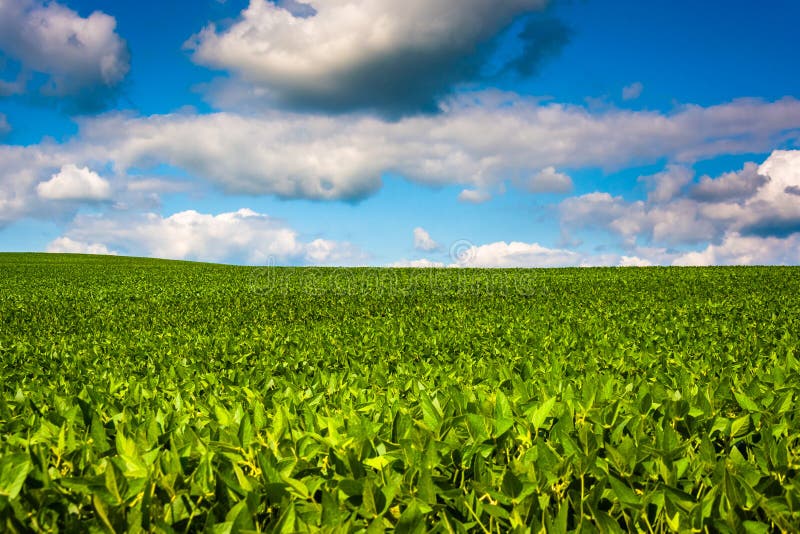 Farm Fields in Rural Baltimore County, Maryland. Stock Image - Image of ...