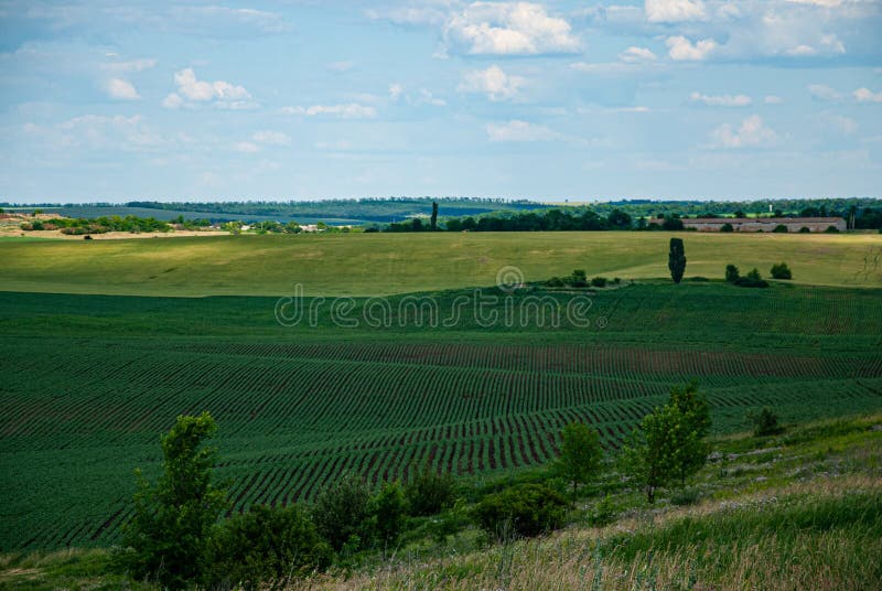 Farm Fields in Spring, Against a Beautiful Sky Stock Image - Image of ...