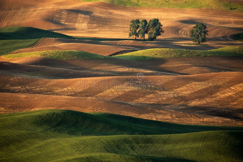 Palouse Valley in the fall stock photo. Image of autumn - 103580816