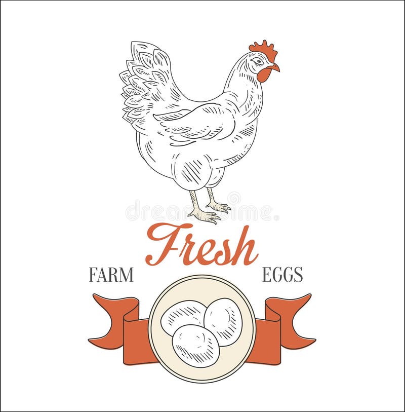 Farm Fresh Eggs. Vector Illustration Stock Vector - Illustration of ...