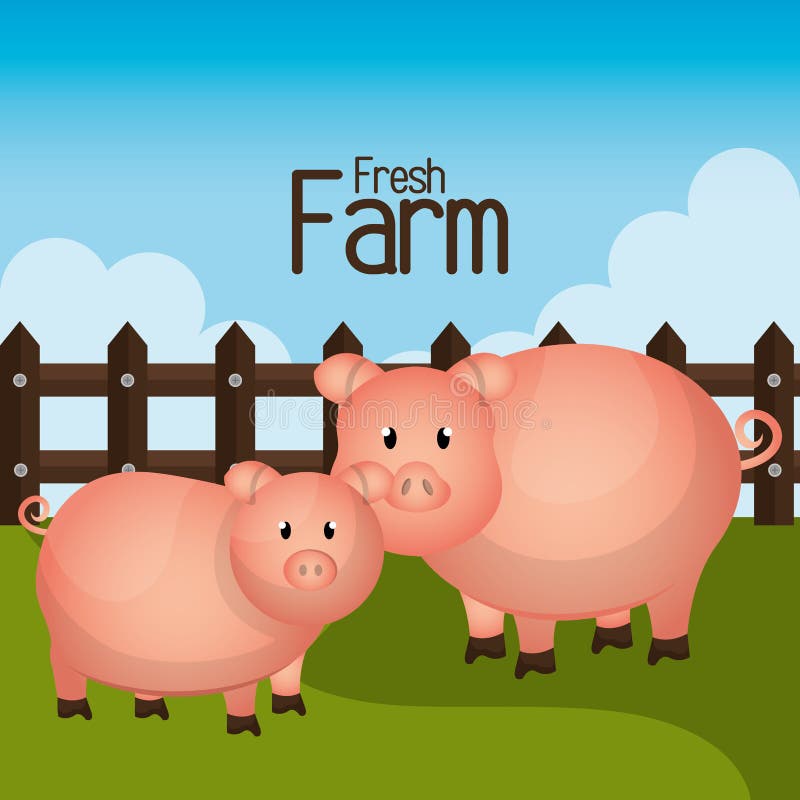 Farm fresh graphic stock illustration. Illustration of pigs - 64326651