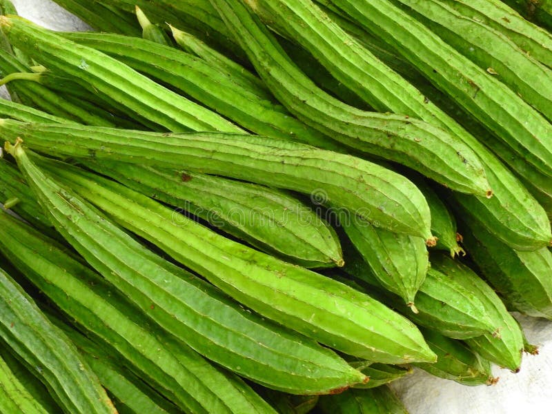 Farm Fresh Green Ridged Gourd Stock Photo - Image of pickle, cloth ...