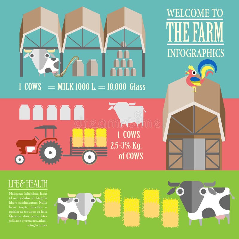 Farm Fresh Infographics. stock vector. Illustration of barn - 55580960