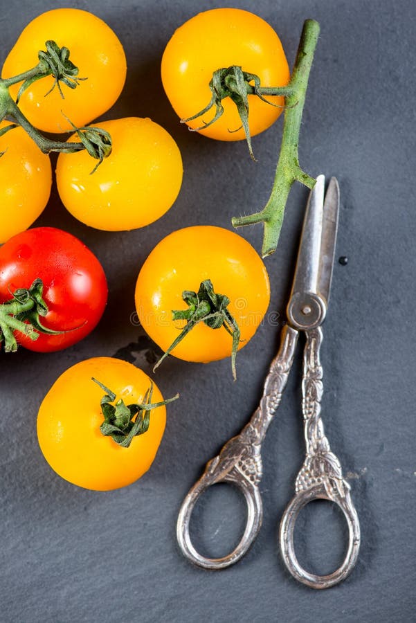 Farm Fresh Organic Tomatoes View from Above Stock Image - Image of diet ...