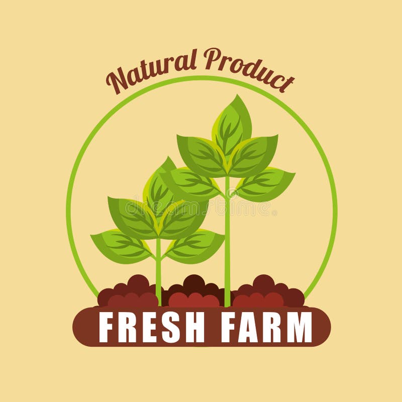 Farm fresh plant icon stock vector. Illustration of business - 85451992
