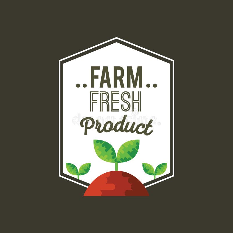 Farm Fresh Product Label. Vector Illustration Decorative Design Stock ...
